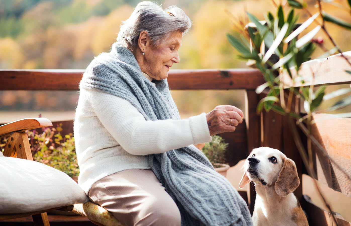 Estate Planning for Pets in San Diego and Throughout California